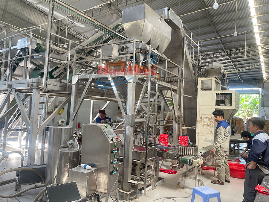 Máy đóng gói trà sữa tự động